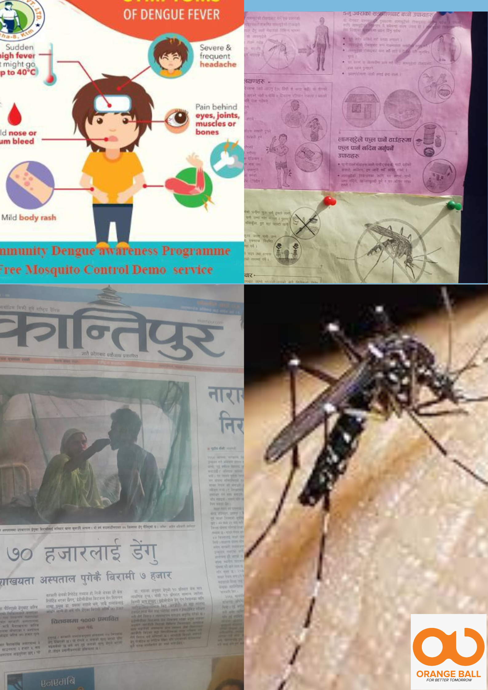 Dengue Fever Cases in Kathmandu/Lalitpur, Nepal
